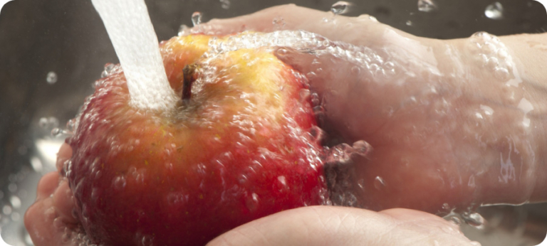 Food Safety - BC School Food Toolkit