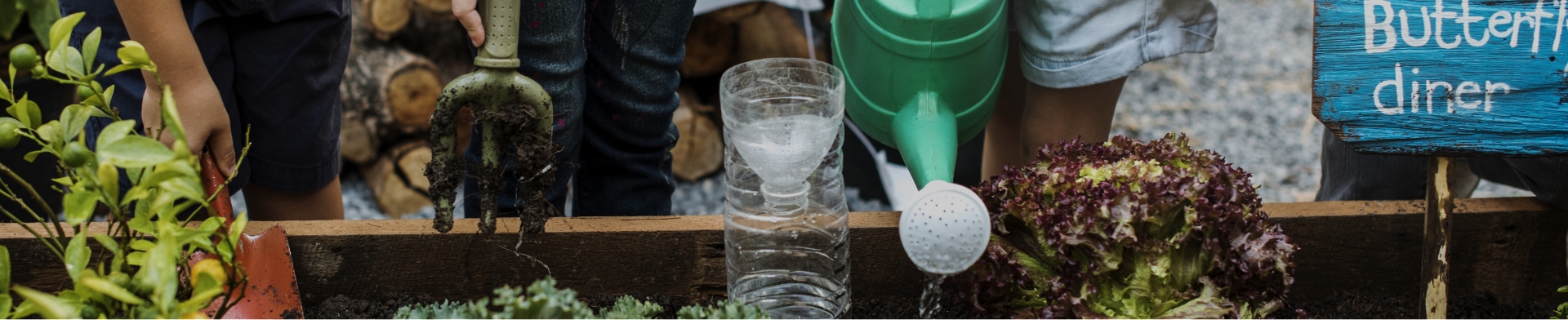 Teach Food First: An Educator’s Toolkit - HealthySchools BC